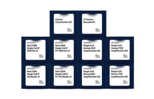 Kits Chromium Single Cell Immune Profiling – 10X Genomics - Pensabio